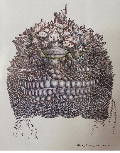 John Bendon’s Works of Art Are Also Important Scientific Records ...