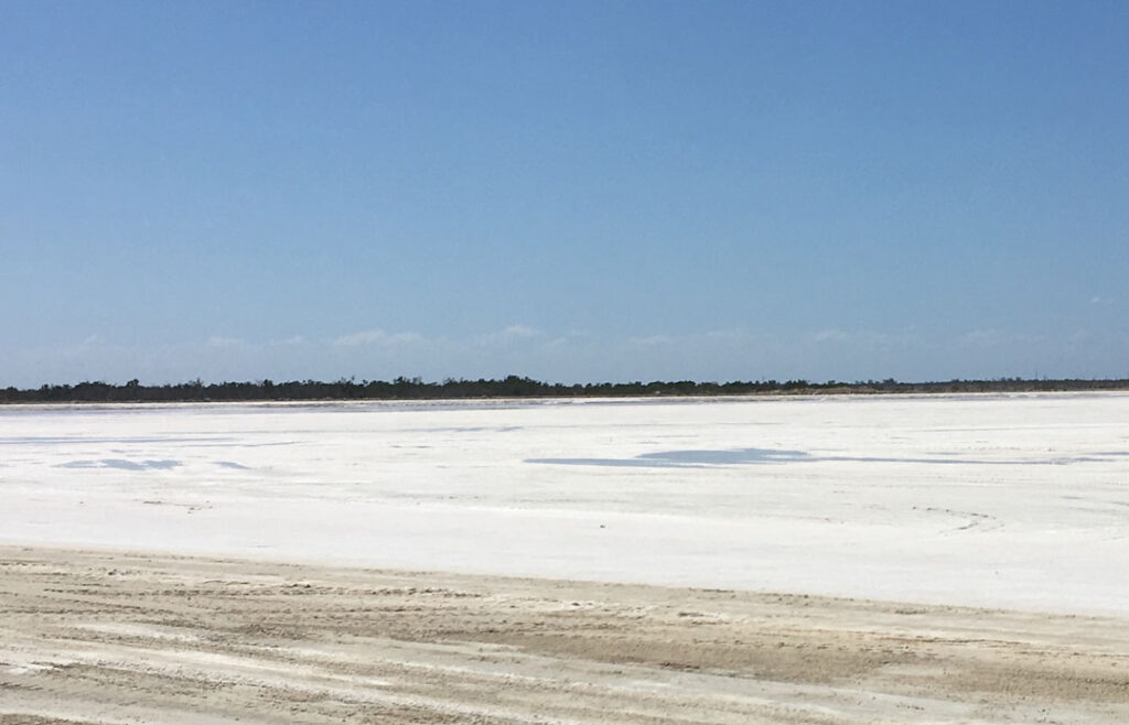 Morton Salt, Campbells, and Flamingos in the Bahamas. — Elaine A ...