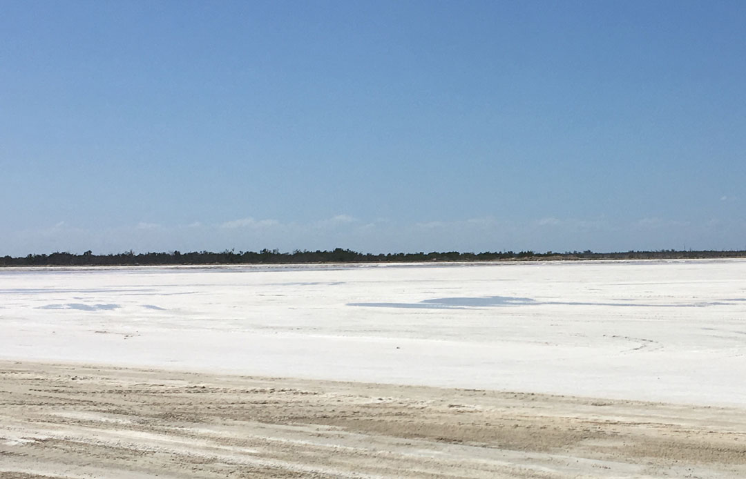 Morton Salt, Campbells, and Flamingos in the Bahamas. — Elaine A ...